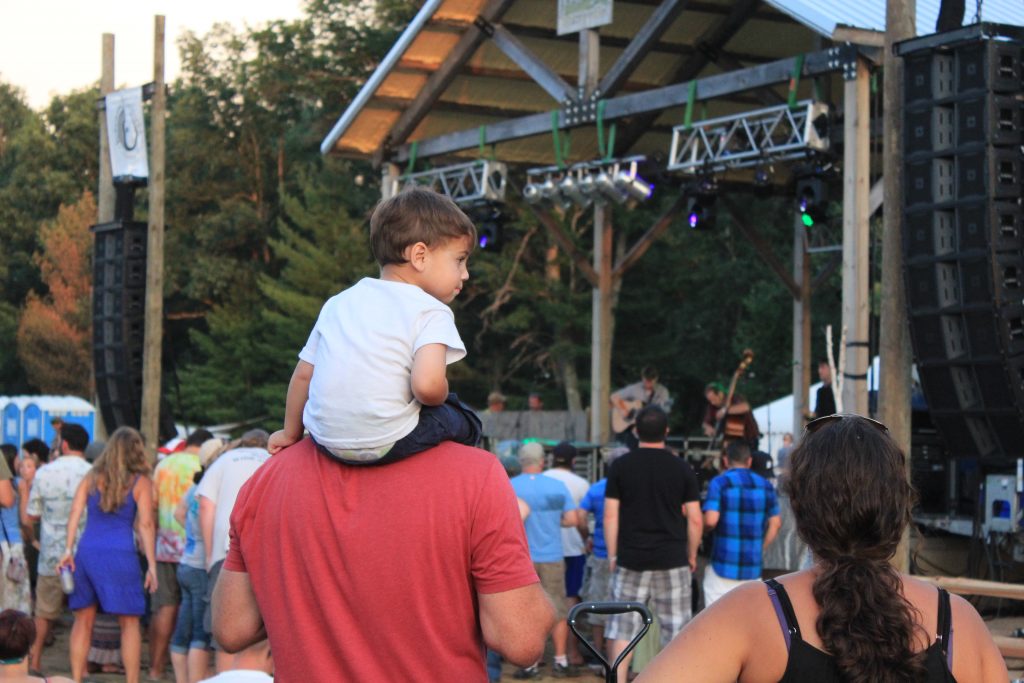 Top 10 summer music festivals in Michigan: The Local Spins List
