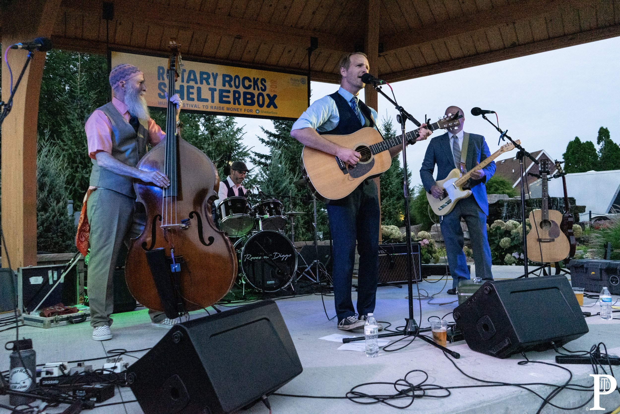 Americana's Roosevelt Diggs finds fresh verve in ‘Reverie’ - Local Spins