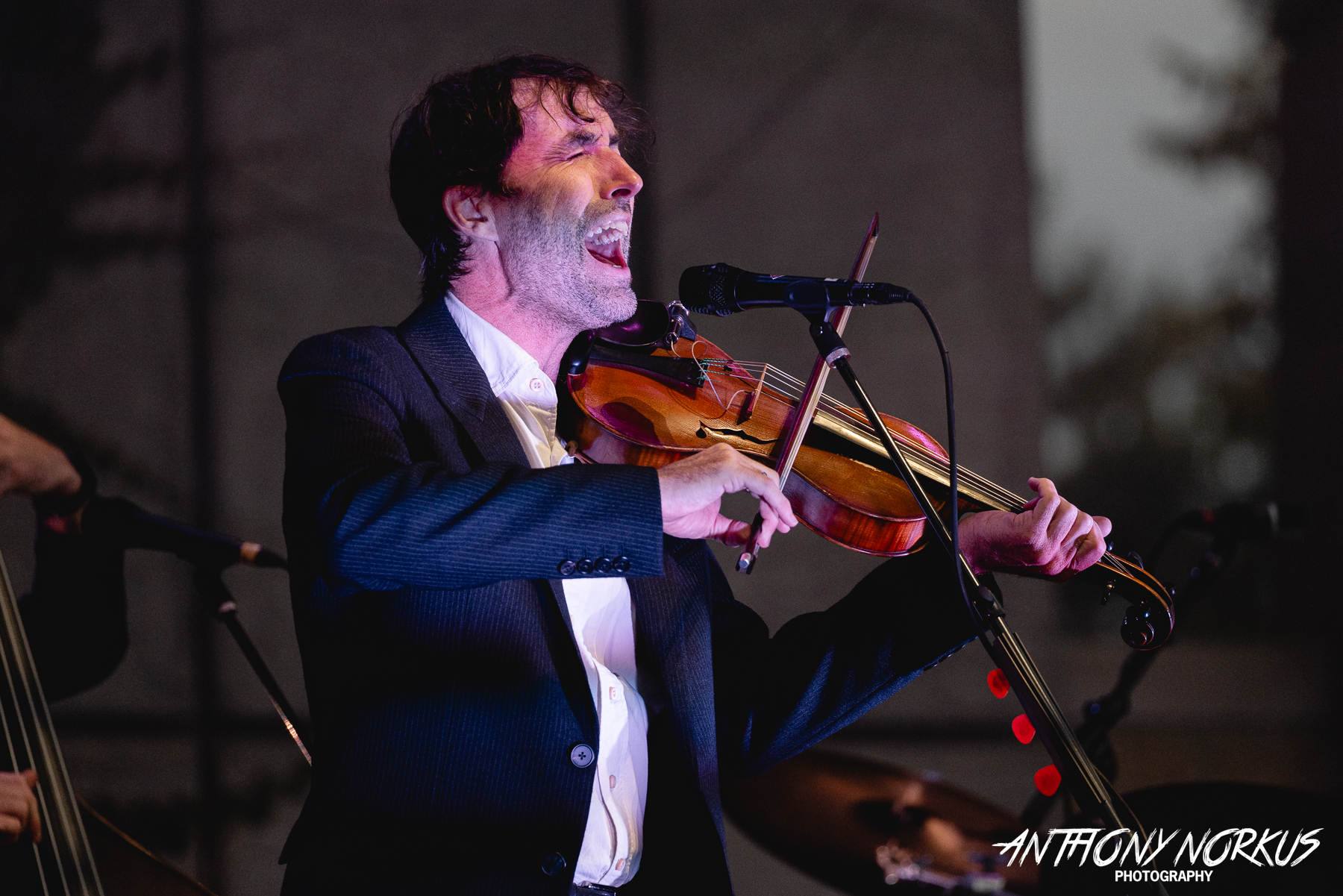 Andrew Bird charms Meijer Gardens with jazz & more - Local Spins