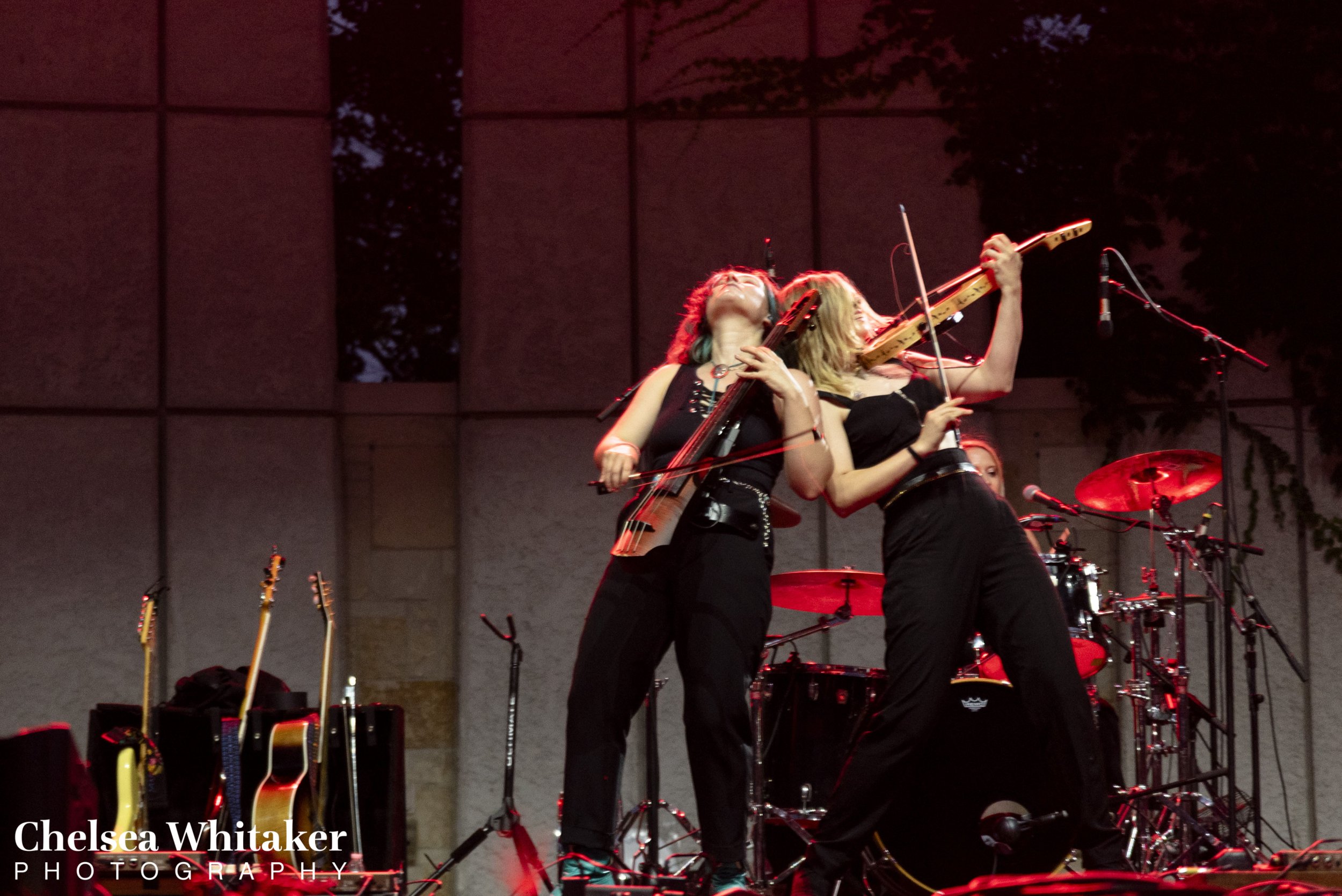 The Accidentals unleash unprecedented Tuesday romp - Local Spins